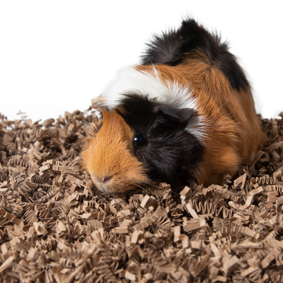 FiberCore ECO BEDDING